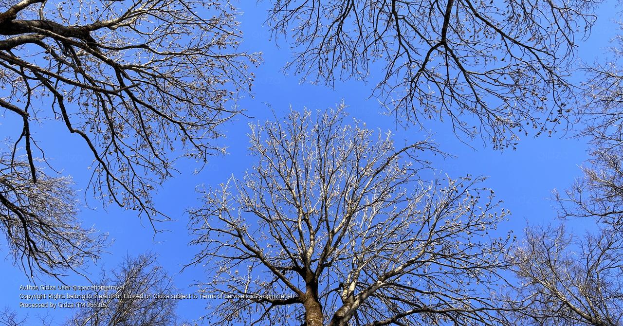 Blue sky of Roslavl: A Traveler’s Review by @spacehorsetravel | Gidza